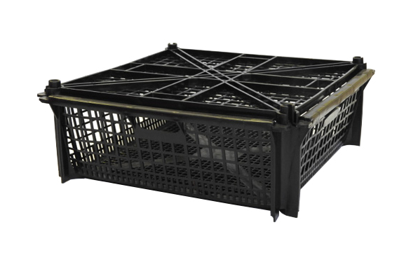 24 x 23 x 08 - Shellfish Handheld Container | Reusable Transport Packaging