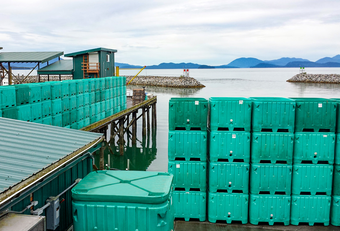 Insulated Bulk Containers In Stock | Reusable Transport Packaging